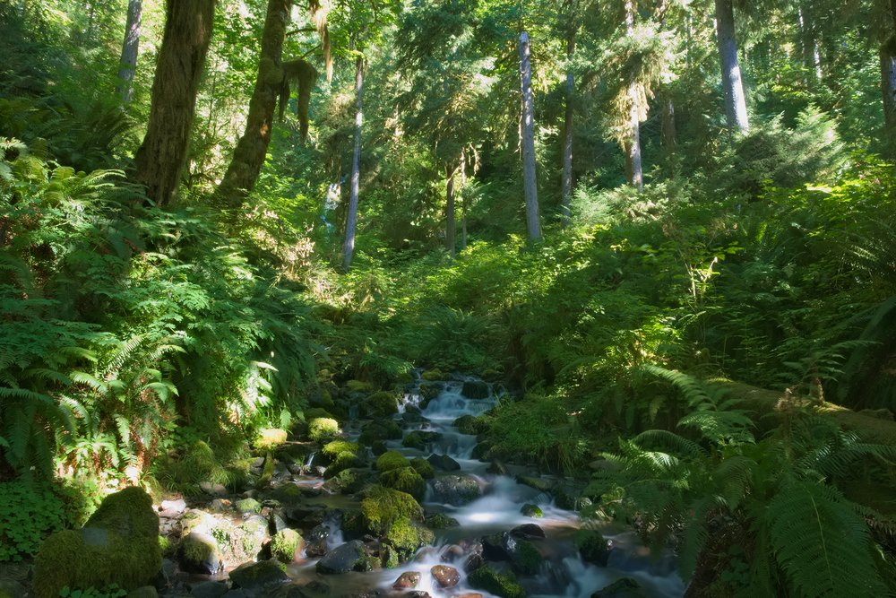 Washington State and Oregon