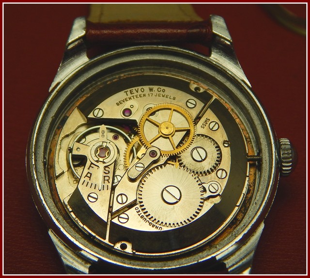 Tevo watch Co