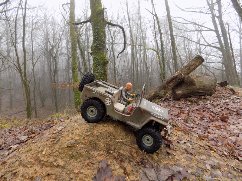 Gmade Sawback jeep Willys | Rccrawler France Forum