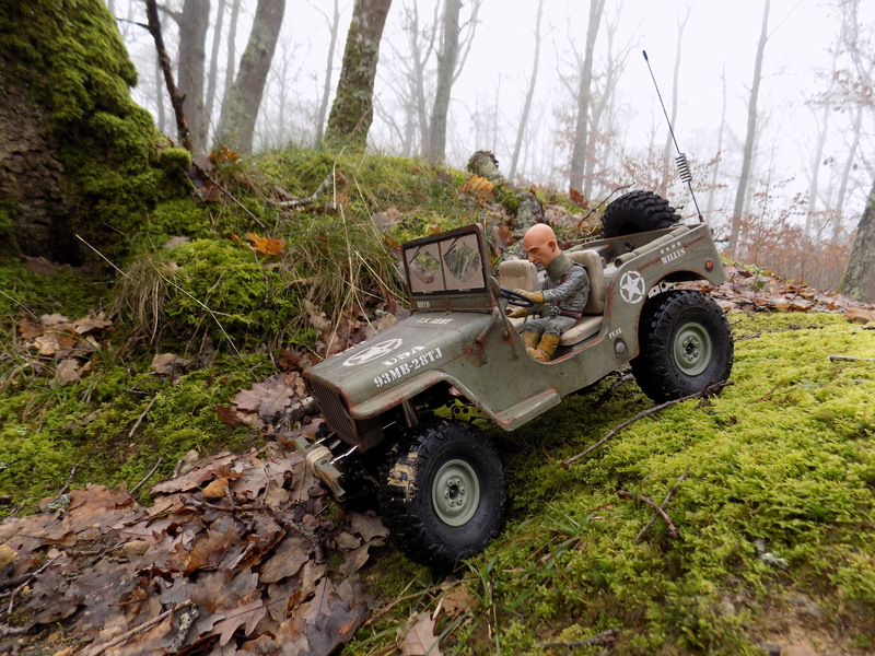 Gmade Sawback jeep Willys | Rccrawler France Forum